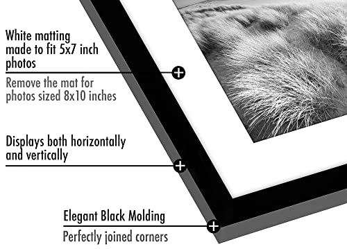 Americanflat 8x10 Picture Frame with Polished Plexiglass - Set of 5 - Use as 5x7 Frame with Mat or 8x10 Frame Without Mat - Galleria Collection - Gallery Frames for Tabletop and Wall Display - Black