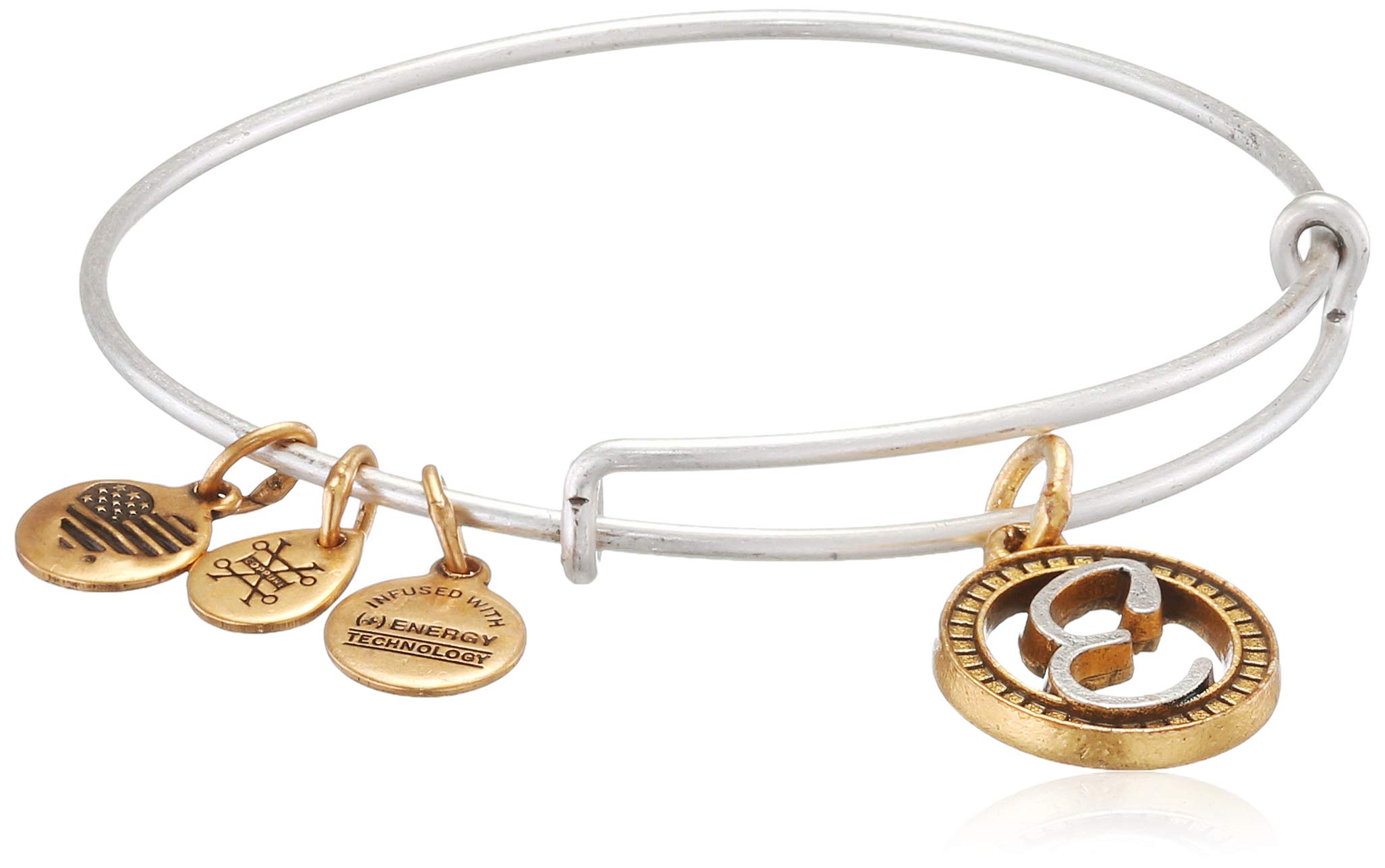 Alex and Ani Women's Initial E II Bangle Two Tone Bracelet, Rafaelian Silver