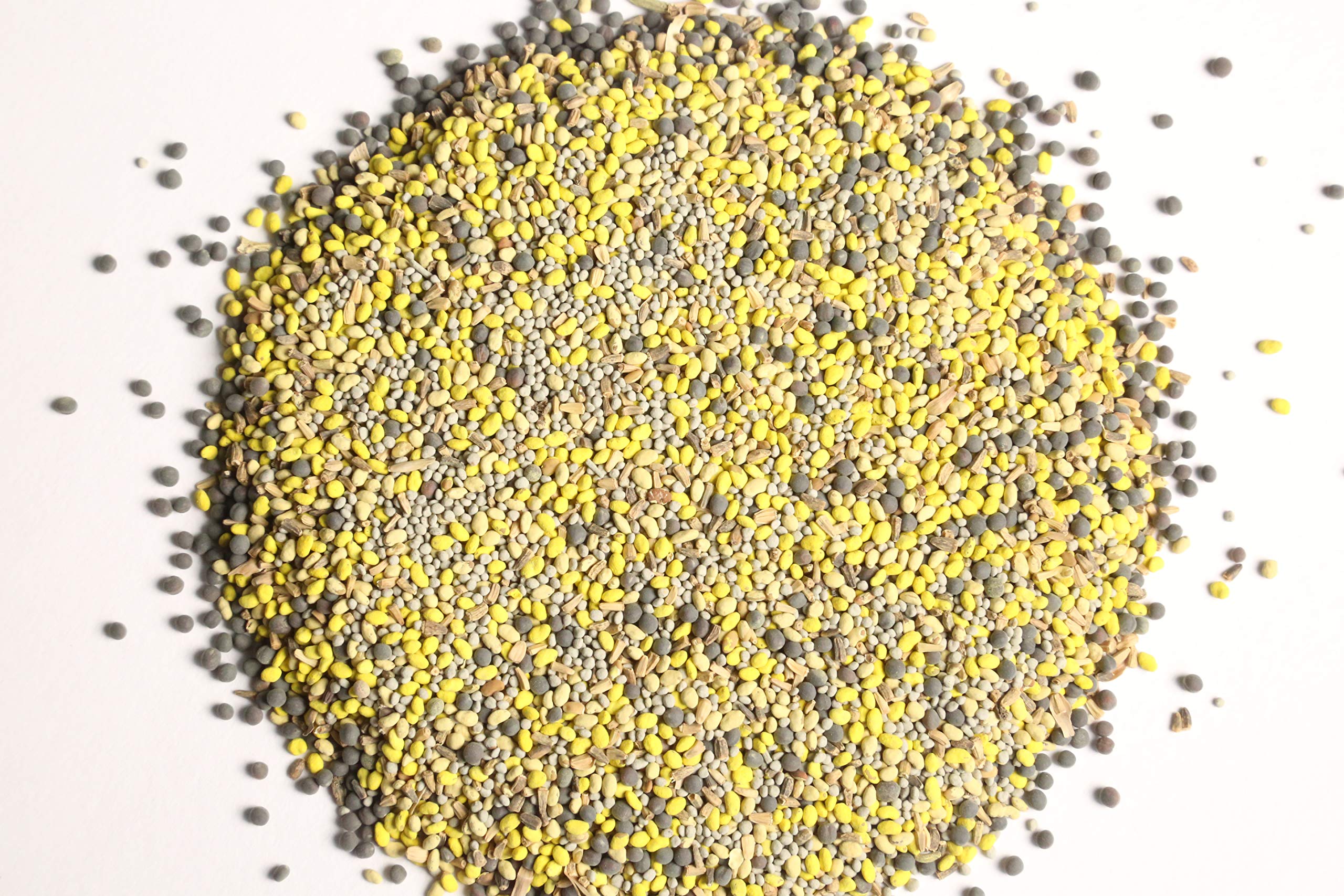 Antler King Booner Buffet Perennial Food Plot | 3 lb Bag Contains Two Varieties of Alfalfa Plus Clover & Chicory | Plants 1/4 Acre