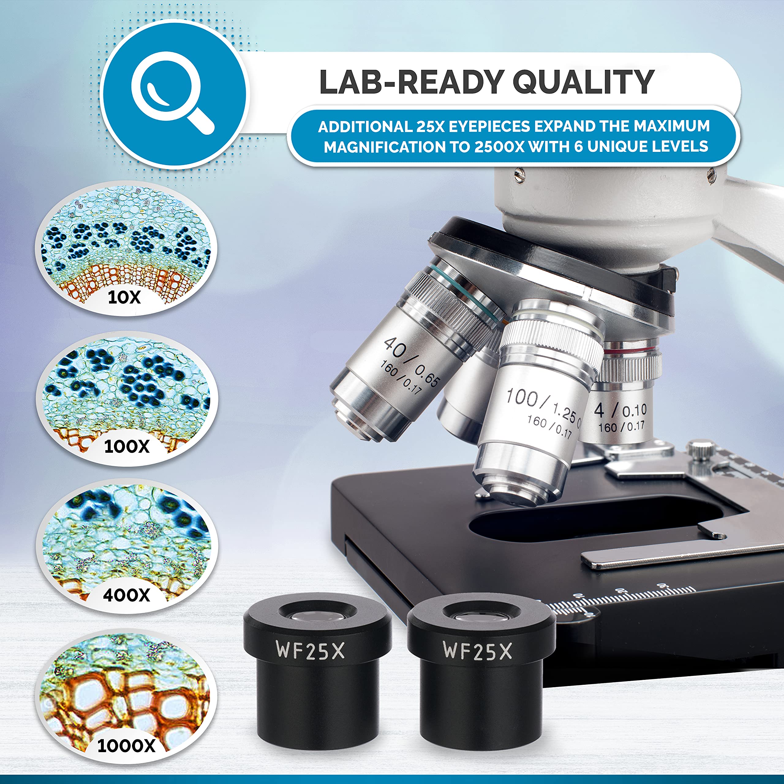 AmScope B120A Siedentopf Binocular Compound Microscope, 40X-1600X Magnification, Brightfield, LED Illumination, Abbe Condenser, Double-Layer Mechanical Stage