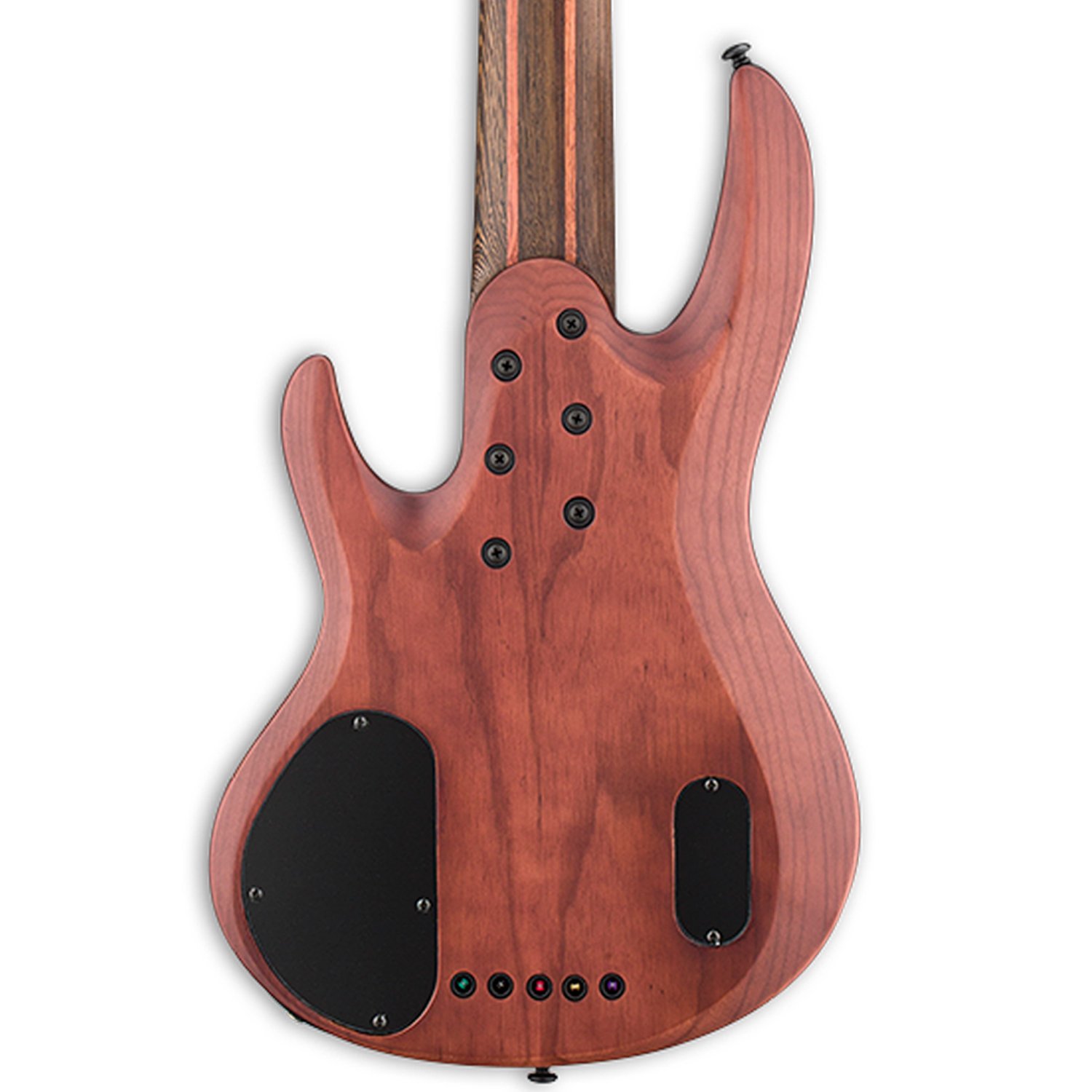 ESP LB1005SEBNS-KIT-1 B Series B-1005SE 5-String Electric Bass Guitar, Natural Satin