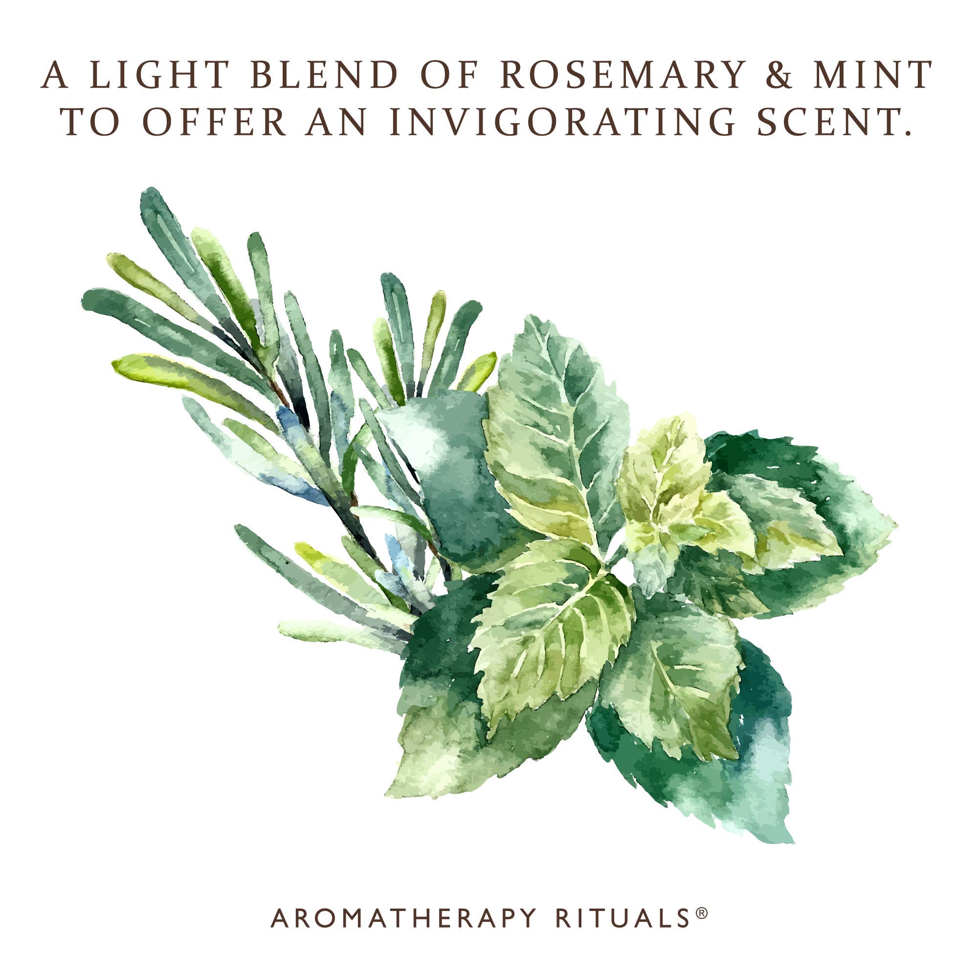 aromatherapy Rituals Hemp Infused Body Wash, rosemary mint, 1 large