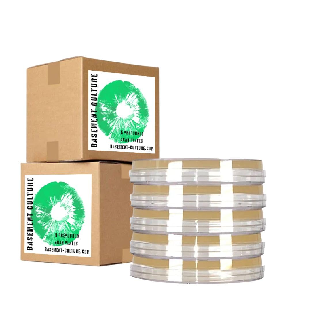 Basement Culture | Premium Light Malt Extract and Peptone Agar Plates - Set of 5, Sterile, Easy-to-Use, Ideal for Microbiology, and Long Shelf Life