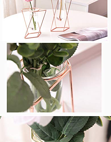 Aoderun Glass Flower Vase with Metal Stand Modern Geometry Desktop Glass Planter Indoor Hydroponics Plants for Home Office Garden Wedding Decor (Gold, M)