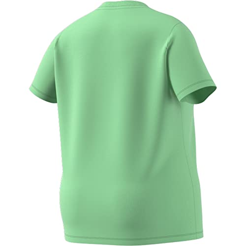 adidas Originals Women's Trefoil Tee, Glory Mint, 1X