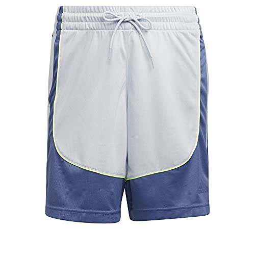adidas Womens 365 Women in Power Short Halo Blue/Crew Blue Large