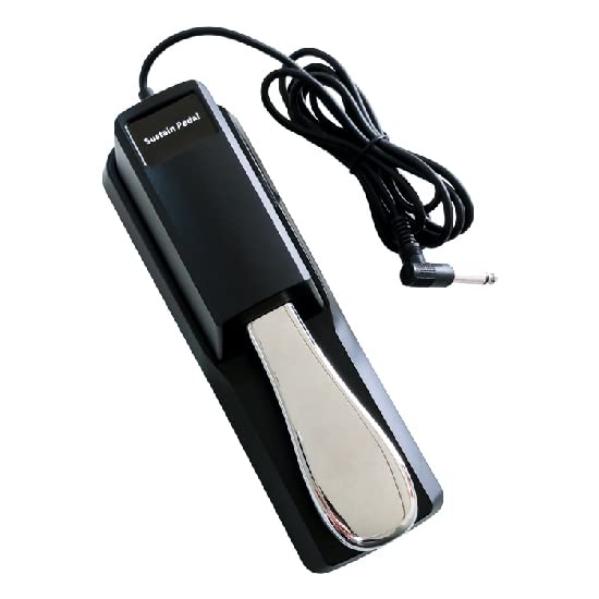 Arturia KeyLab Essential 49 49-key Keyboard Controller Bundle w/Deluxe Sustain Pedal, USB Cable & Liquid Audio Polishing Cloth (4 Items)