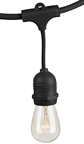Amazon Basics Outdoor Patio String Lights, S14 Bulb, 48 Feet, Black
