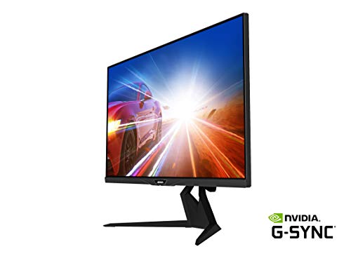 AORUS FI27Q 27" 165Hz 1440P NVIDIA G-SYNC Compatible IPS Gaming Monitor, Built-in ANC, 2k Display, 1 ms Response Time, HDR, 95% DCI-P3, 1x Display Port 1.2, 2x HDMI 2.0, 2x USB 3.0