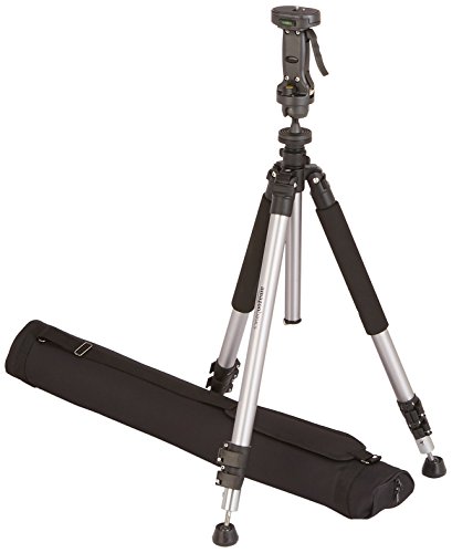 Amazon Basics Pistol Grip Camera Travel Tripod With Bag - 34.4 - 72.6 Inches, Silver and Black