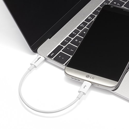 Amazon Basics USB-C to USB-C 2.0 Cable - 1 foot, White, 5-Pack