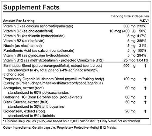 Andrew Lessman Immune Factors 180 Capsules – Echinacea, Goldenseal, Vitamin C, Astragalus, Berberine, Mushroom Blend, Black Currant. Supports and Promotes Immune System and Natural Defenses