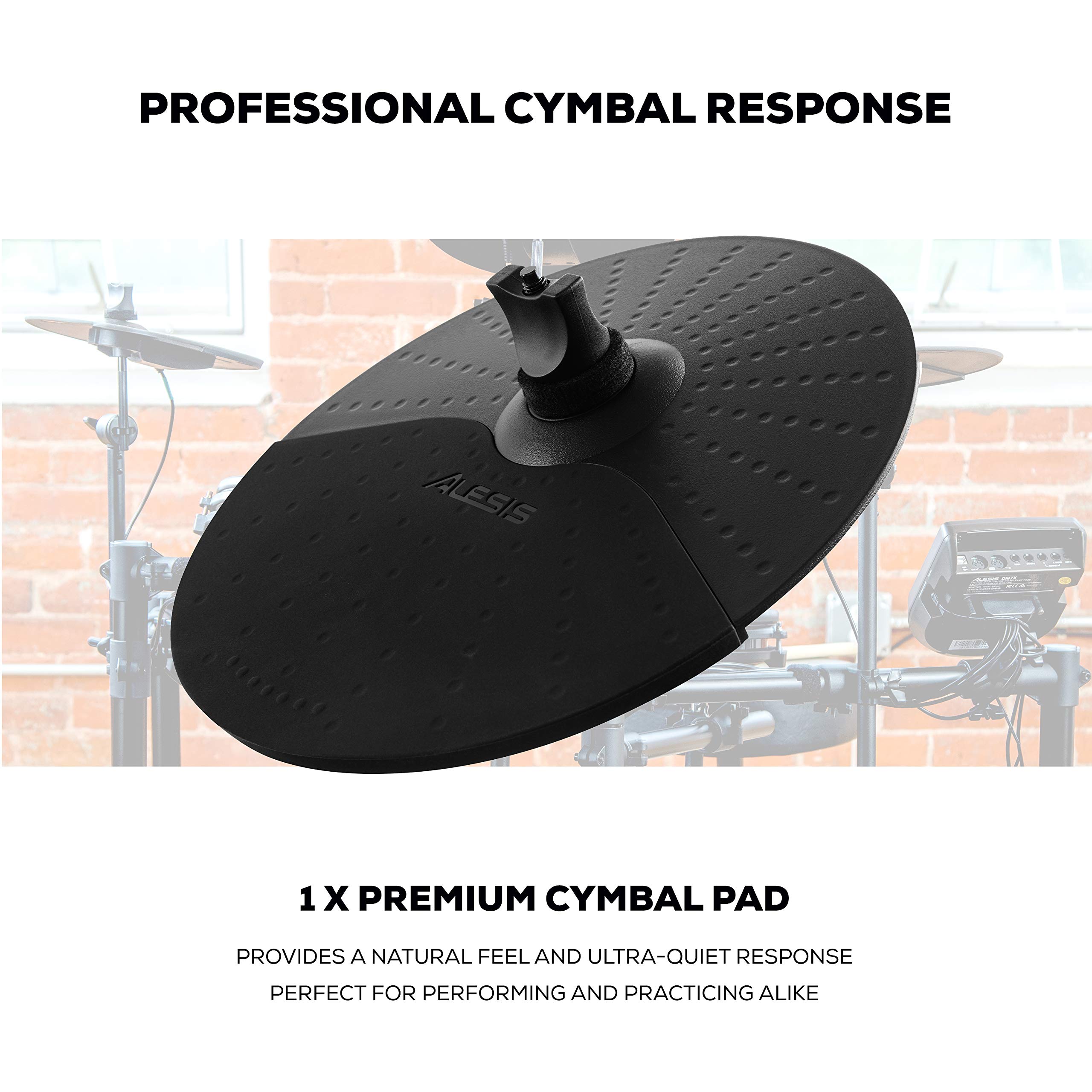 Alesis Drums Nitro Mesh Expansion Pack - Drum Set Expansion for the Nitro Mesh Electric Drum Kit with a Dual Zone Mesh Drum Pad and 10-inch Cymbal