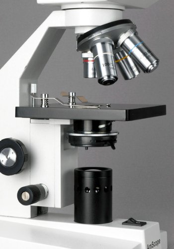 AmScope B100B-E Digital Compound Binocular Microscope, 40X-2000X Magnification, Brightfield, Tungsten Illumination, Abbe Condenser, Plain Stage, Includes 0.3MP Camera and Software