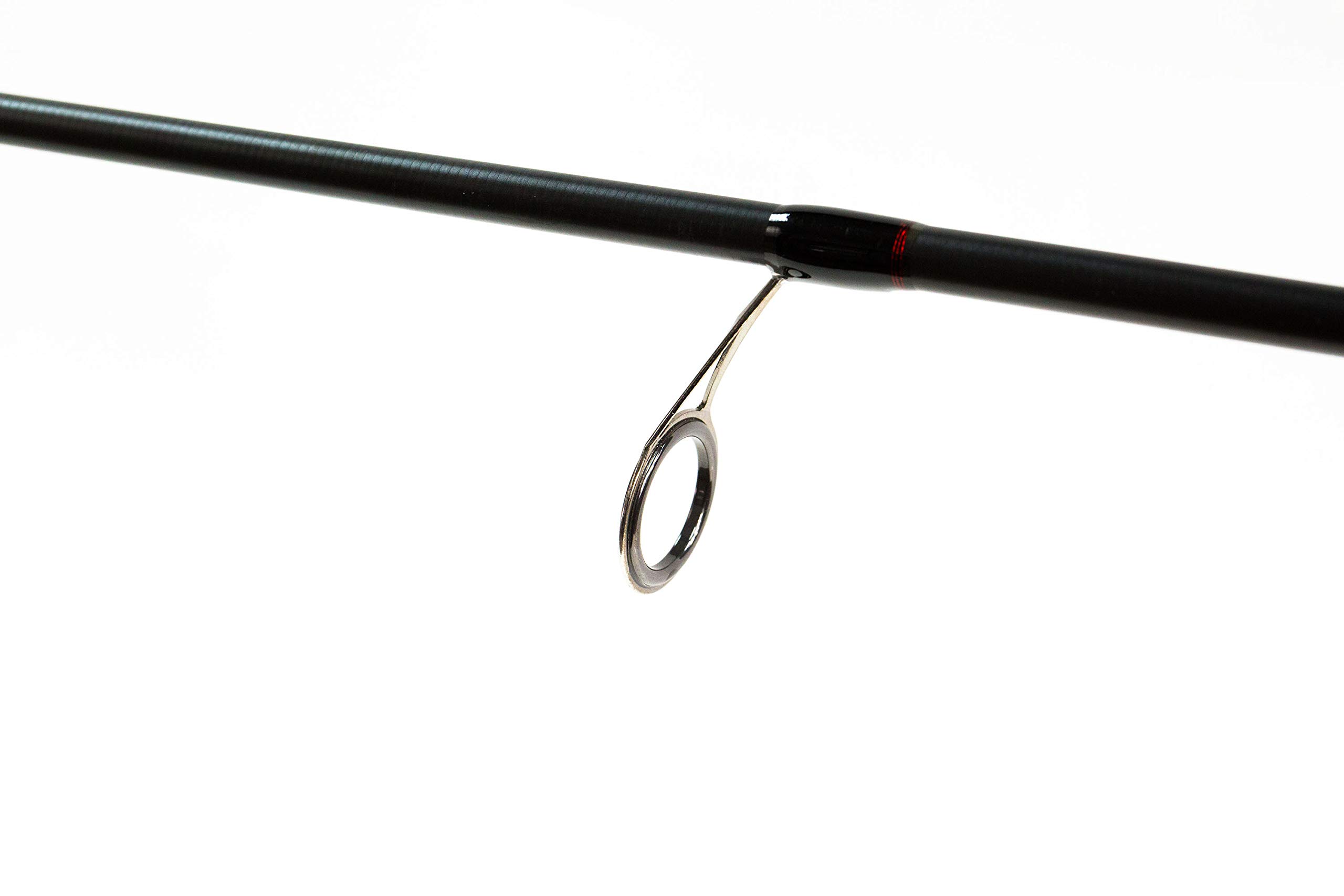 Absolute Powered by Favorite Spinning Rod