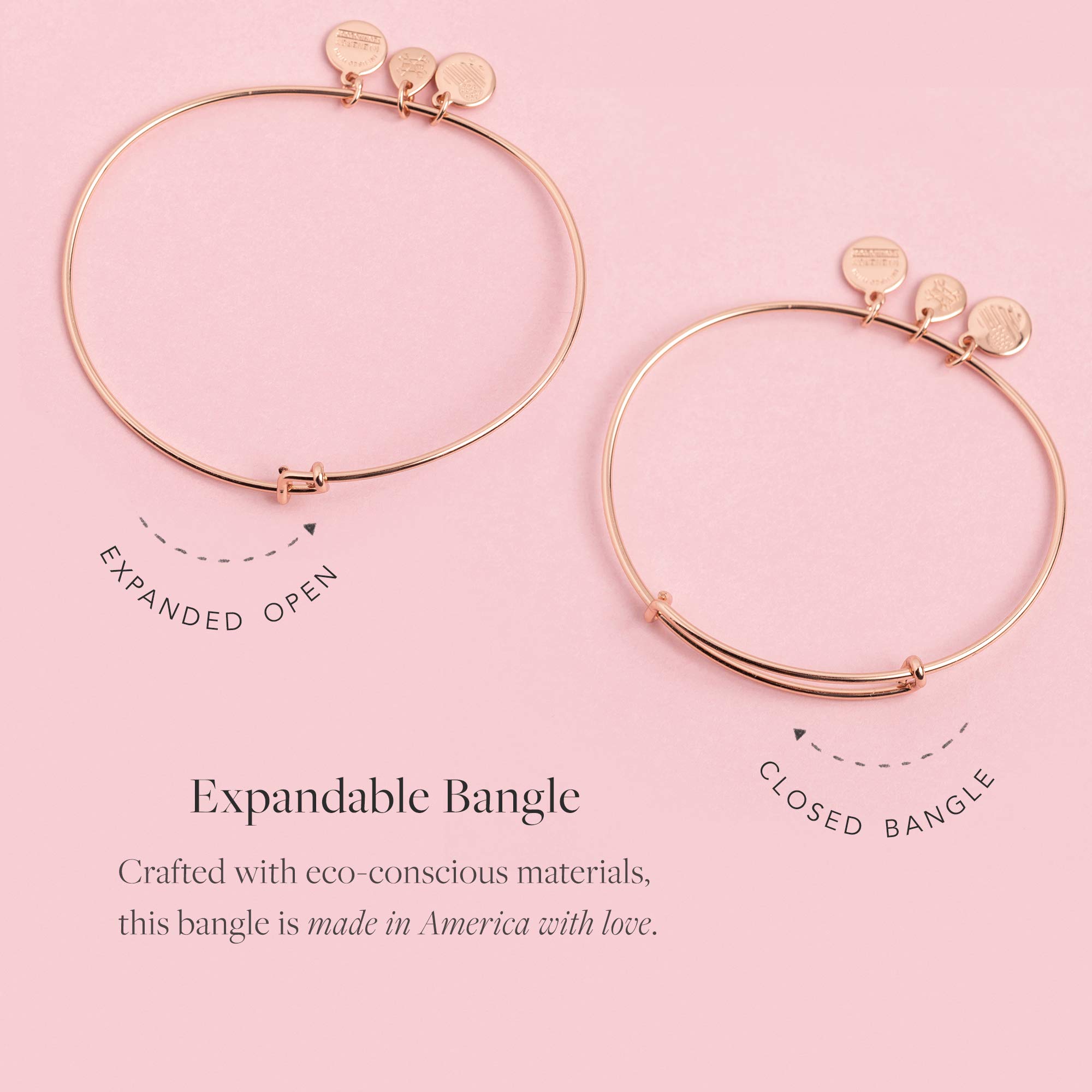 Alex and Ani Connections Expandable Bangle for Women, Make Your Own Magic Charm, Shiny Gold Finish, 2 to 3.5 in