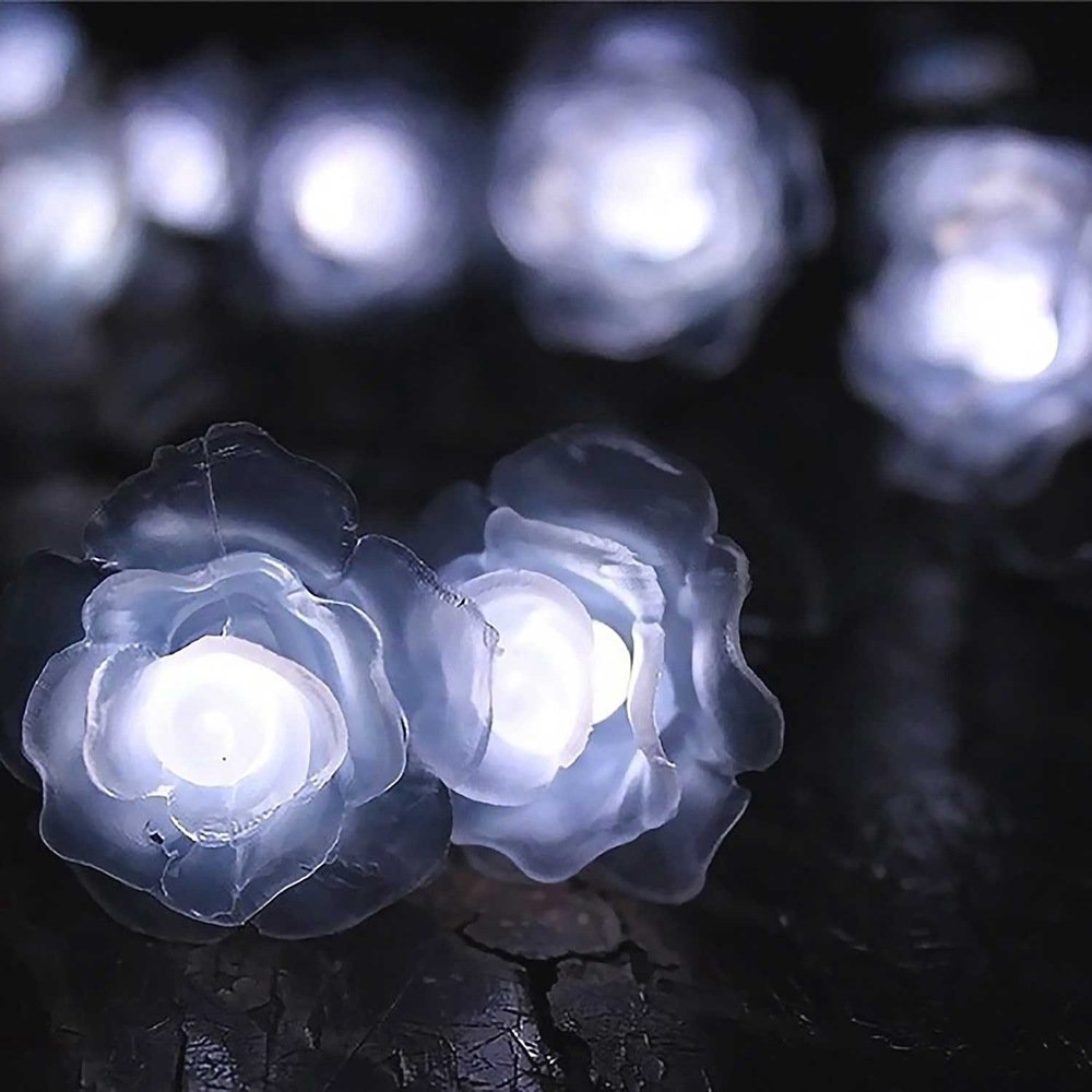chuangsheng Premium Quality Solar String Light, 20 LED Waterproof Rose Solar Fairy String Lights for Christmas Garden Patio Wedding Party Fence Window and Home Holiday Festival Decorations (White)