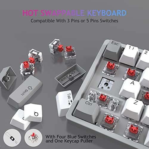 AULA MMO Gaming Mouse and 60 Percent Wired Mechanical Keyboard Combo