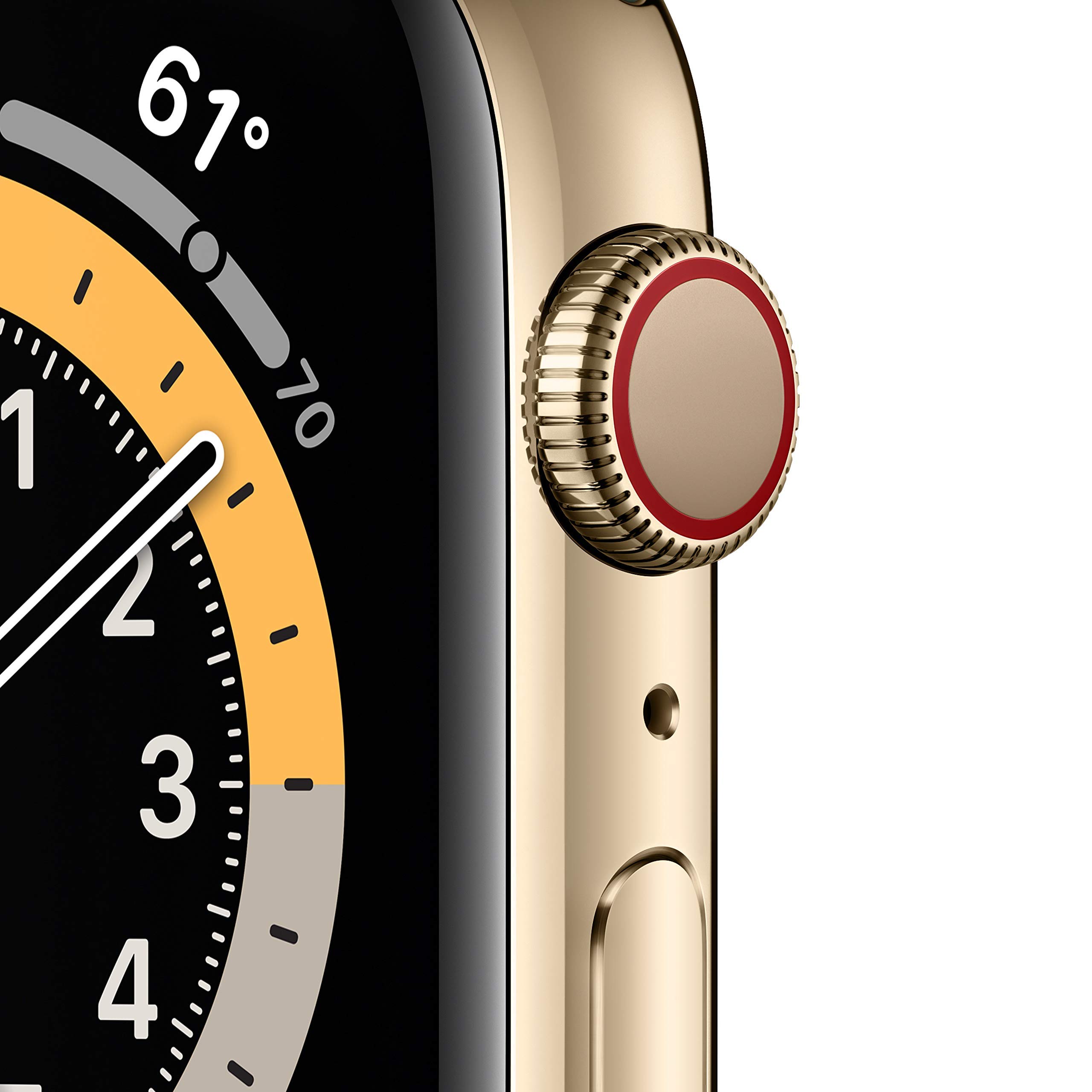 Apple Watch Series 6 (GPS + Cellular, 44mm) - Gold Stainless Steel Case with Cyprus Green Sport Band (Renewed)