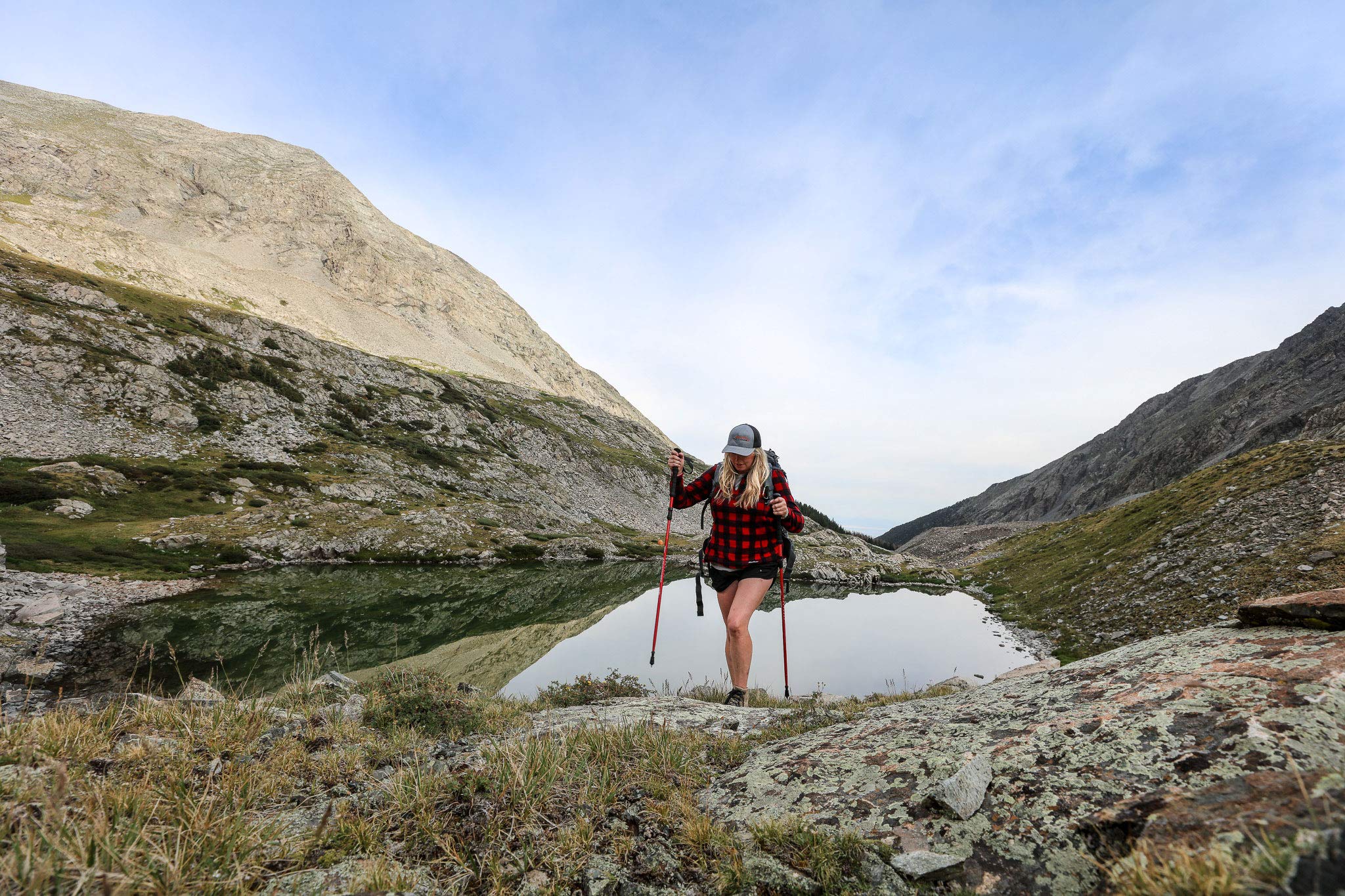 ALPS Mountaineering Momentum Trekking Pole