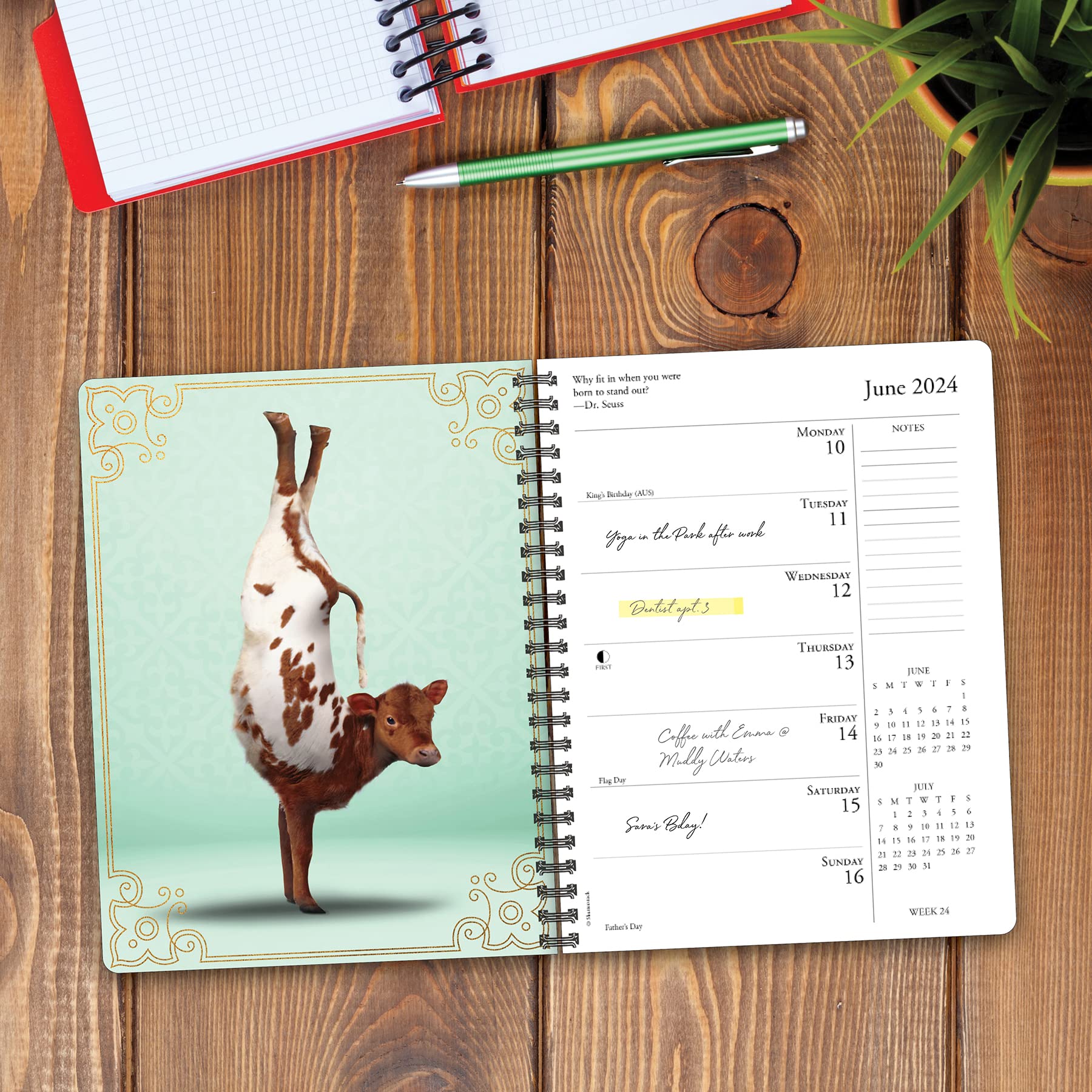 Animal Yoga 2024 Calendar