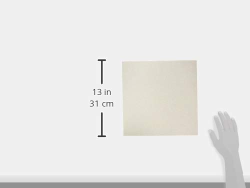 American Crafts Opulant Opal Coredinations Specialty Cardstock Silk 20 Pack of 12 x 12 Inch, Large Glitter