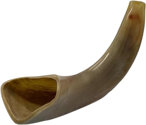 Authentic & Kosher Polished Ram's Horn Shofar from Israel (16" -18")