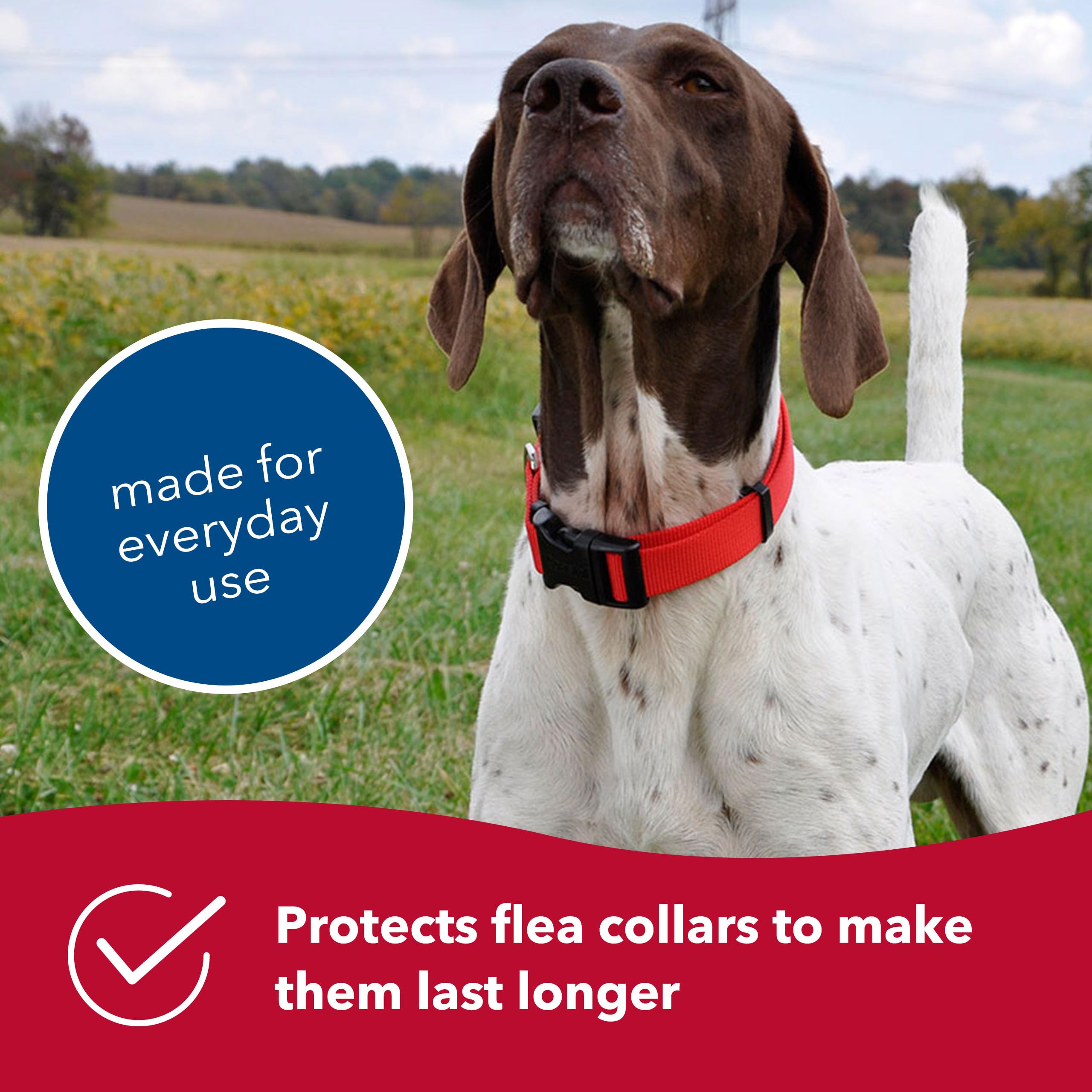 Coastal Pet SecureAway Collar Protector for Flea Collars - Dog Collar Accessory - Protective Collar for Flea Collar for Dogs - Adjustable Dog & Puppy Collar Protection - Red, 1" x 14-20"