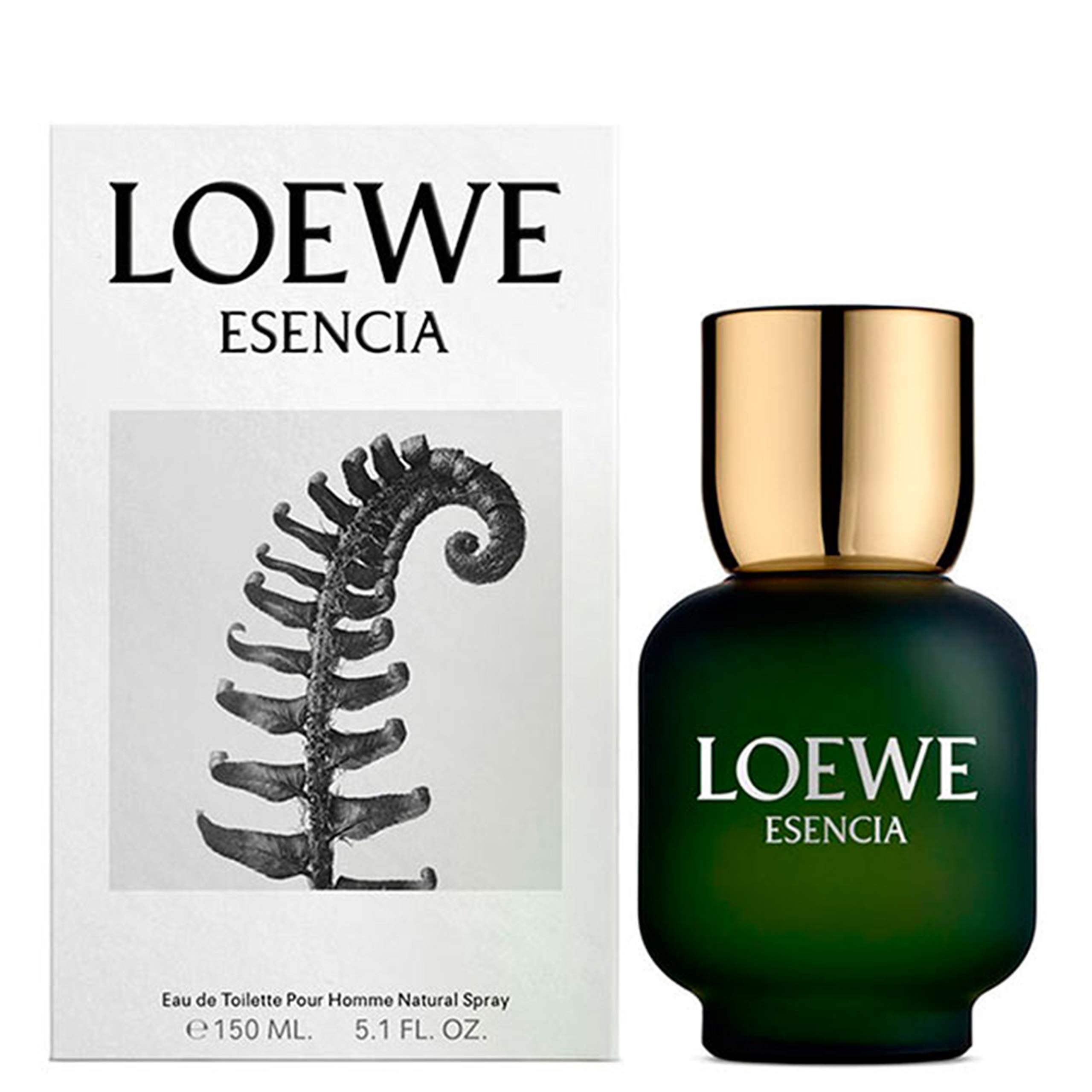 Men's Perfume Esencia Loewe EDT