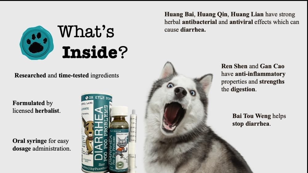 HEALTHY PAWS HERBAL LABS Poo Poo Problems Natrual Diarrhea Relief for Dogs and Cats -2fl oz Food Topper