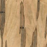 Ambrosia Maple Wood Slab Coffee Table or Bench