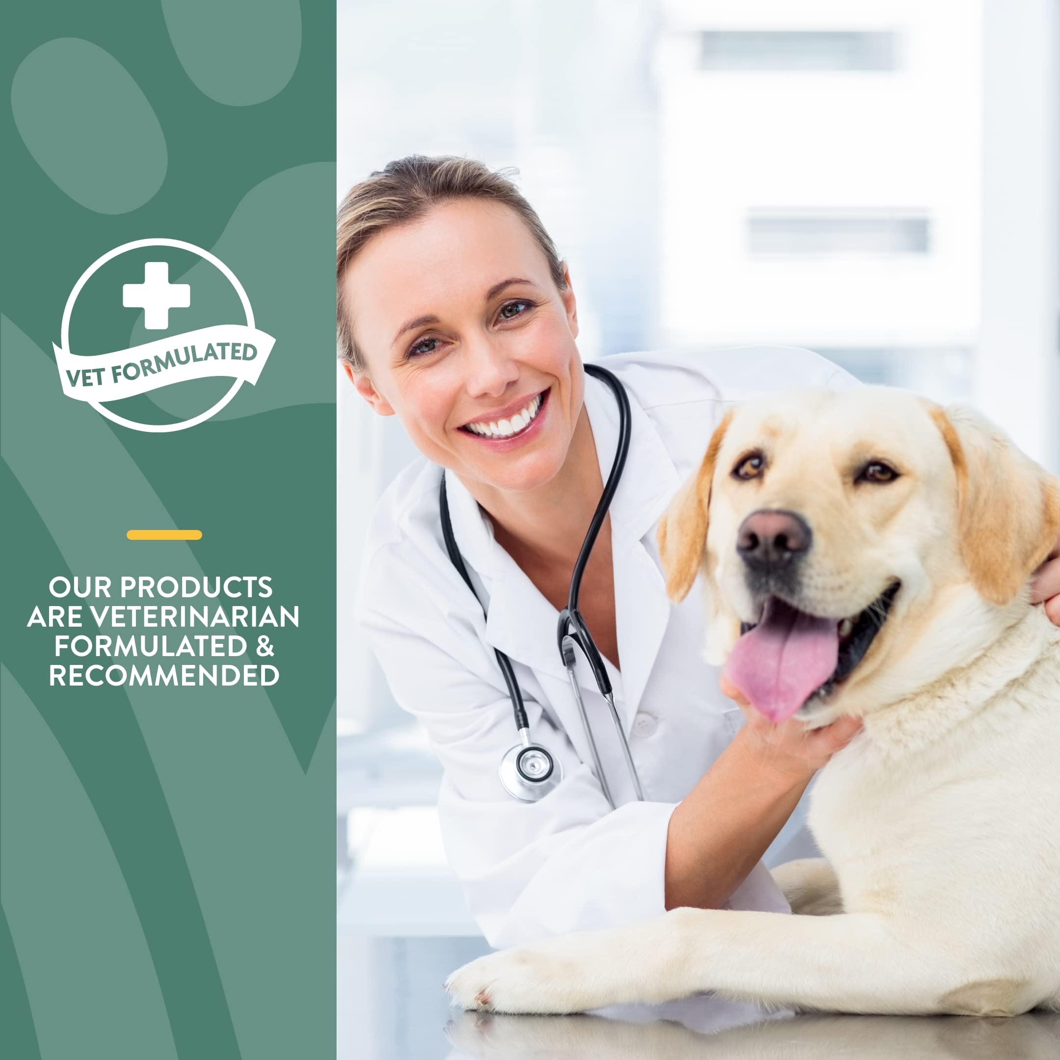 NaturVet – Glucosamine DS Plus - Level 2 Moderate Care – Supports Healthy Hip & Joint Function – 70 Soft Chews & Advanced Probiotics and Enzymes Supplement, Plus Vet Strength Probiotic 70 Soft Chews