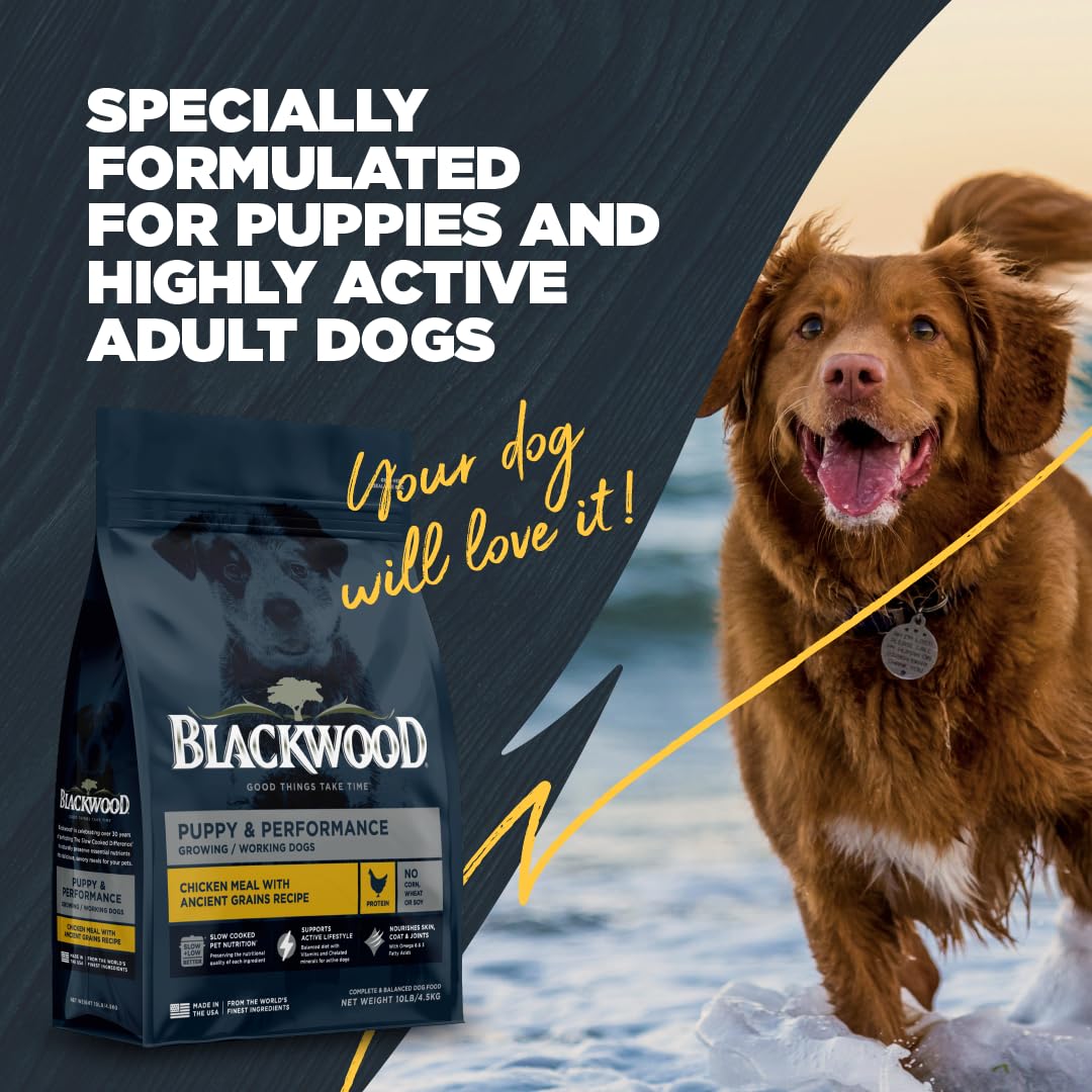 Blackwood Puppy & Performance Dry Dog Food, Chicken Meal with Ancient Grains, 24 Pound Bag for Growing & Working Dogs, Supports Active Lifestyle
