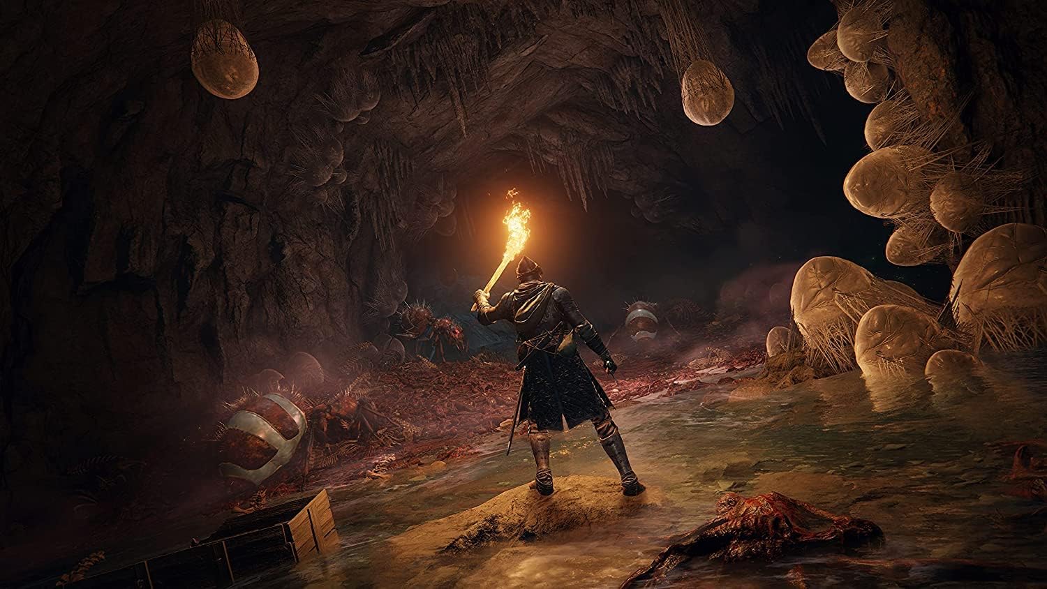 Bandai Namco Entertainment Elden Ring (PS5)