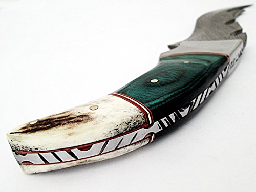 AishaTech Alligator Hunting Knife Damascus Steel Blade Stag & Wood Handle