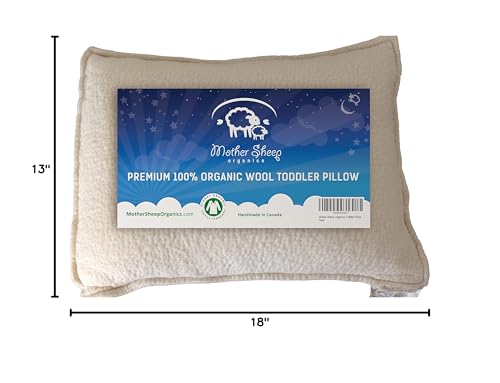 Mother Sheep Organics Organic Wool Toddler and Kids Pillow, Travel Pillow, 14x19