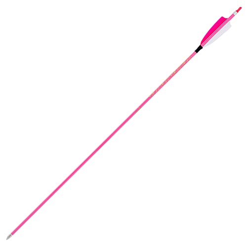 annastar 30" Carbon Feather Arrows Practice Hunting Arrows Spine 300 340 400 500 600 700 800 for Recurve Bow & Compound Bow (12 pcs) (30inch Spine 500, Pink)