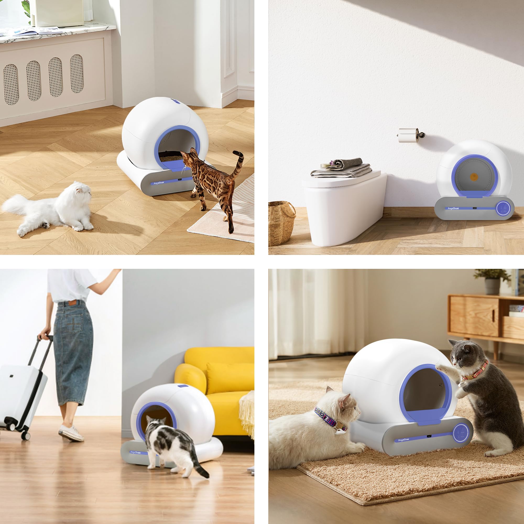 Angol Shiold Upgrade Automatic Cat Litter Box Self Cleaning 65L Extra Large Capacity Smart Kitty Litter Box with App Control/Odor Removal/Low Noise Auto Kitty Litter Box for Multiple Cats (purple)