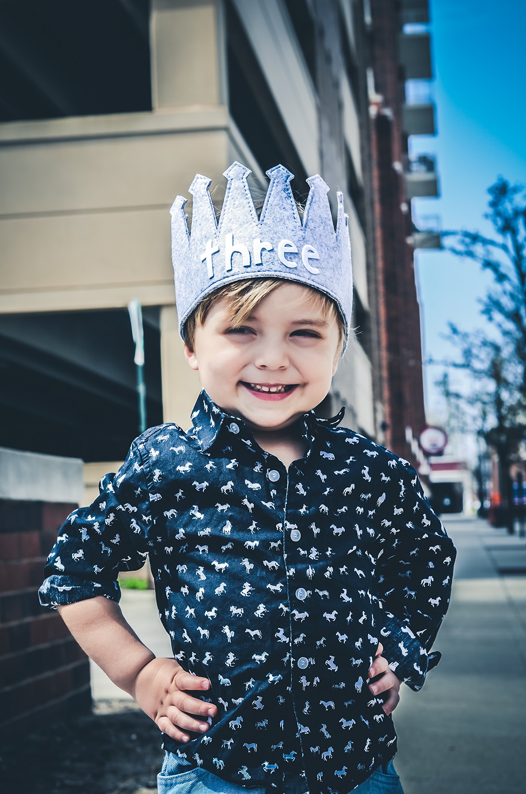 Toddler Third Crown Birthday Gray White Party I am 3 B-Day Hat Girl Boy