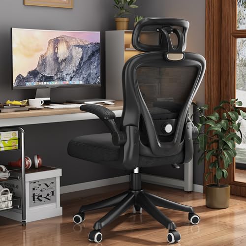SeekFancy Ergonomic Office Chair M903, High Back Computer Desk Chair with Wheels, Comfy Mesh Office Chair with Adjustable Lumbar Support & Headrest, Black Swivel Executive Managerial Task Chair