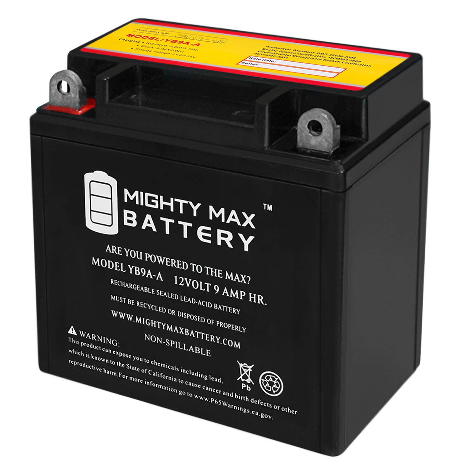 Mighty Max Battery YB9A-A 12V 9AH Battery Replacement for M229AY, M329AY, MOSM329AY