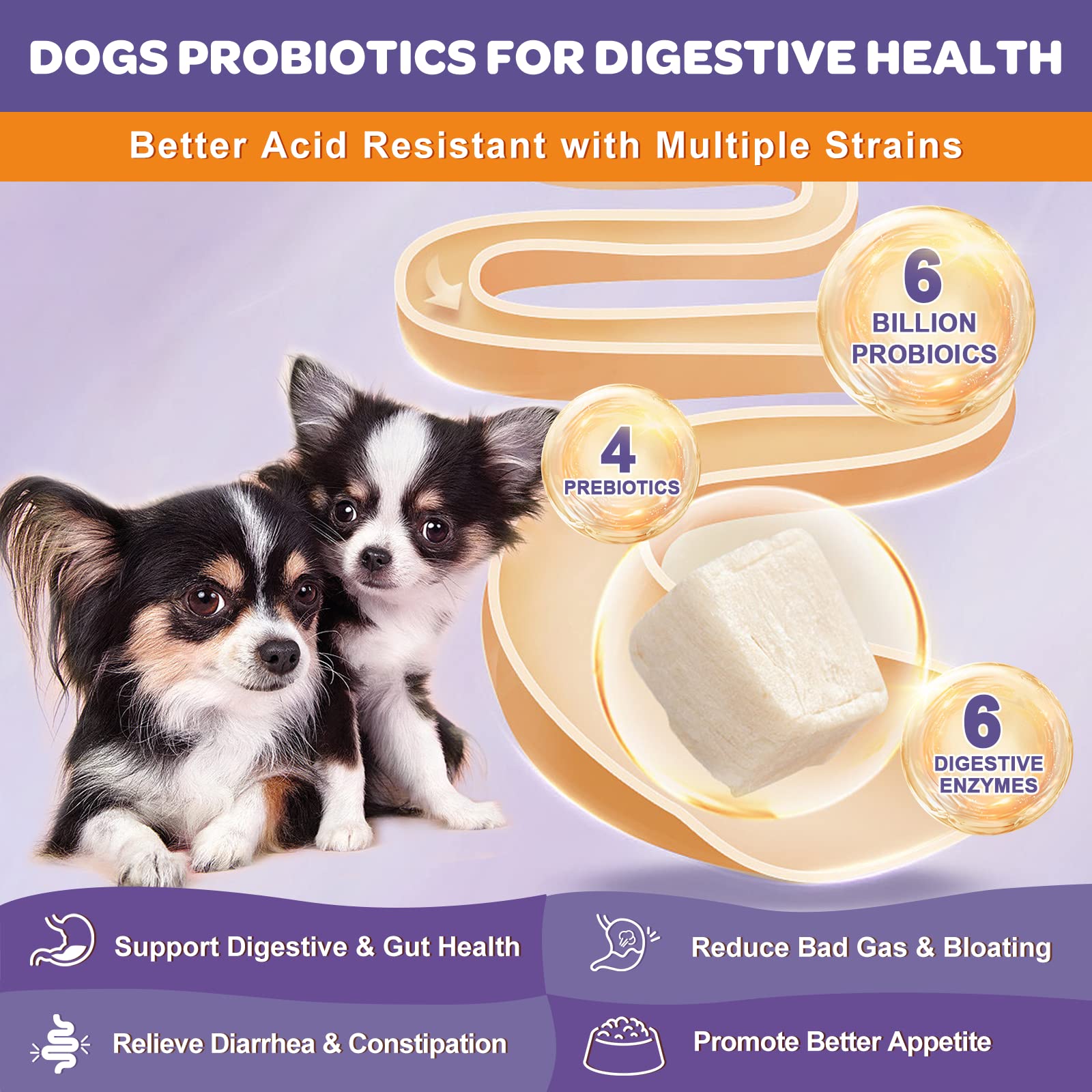 Glucosamine for Dogs, Hip and Joint Supplement,Probiotics for Dogs, 6 Billion CFUs, Freeze Dried Dog Probiotics with Prebiotics and Digestive Enzymes
