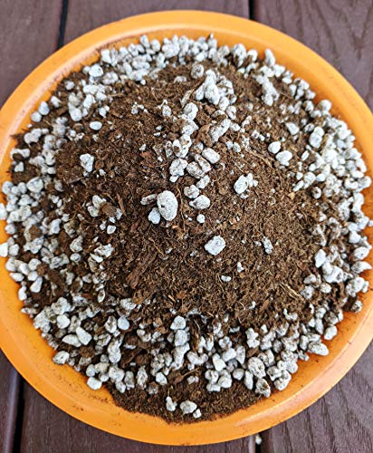 Bamboo Bonsai Plant Potting Soil Mix Peat Moss & Perlite (½ Gallon / 2 quarts). Repot Ficus, Lucky Bamboo Soil