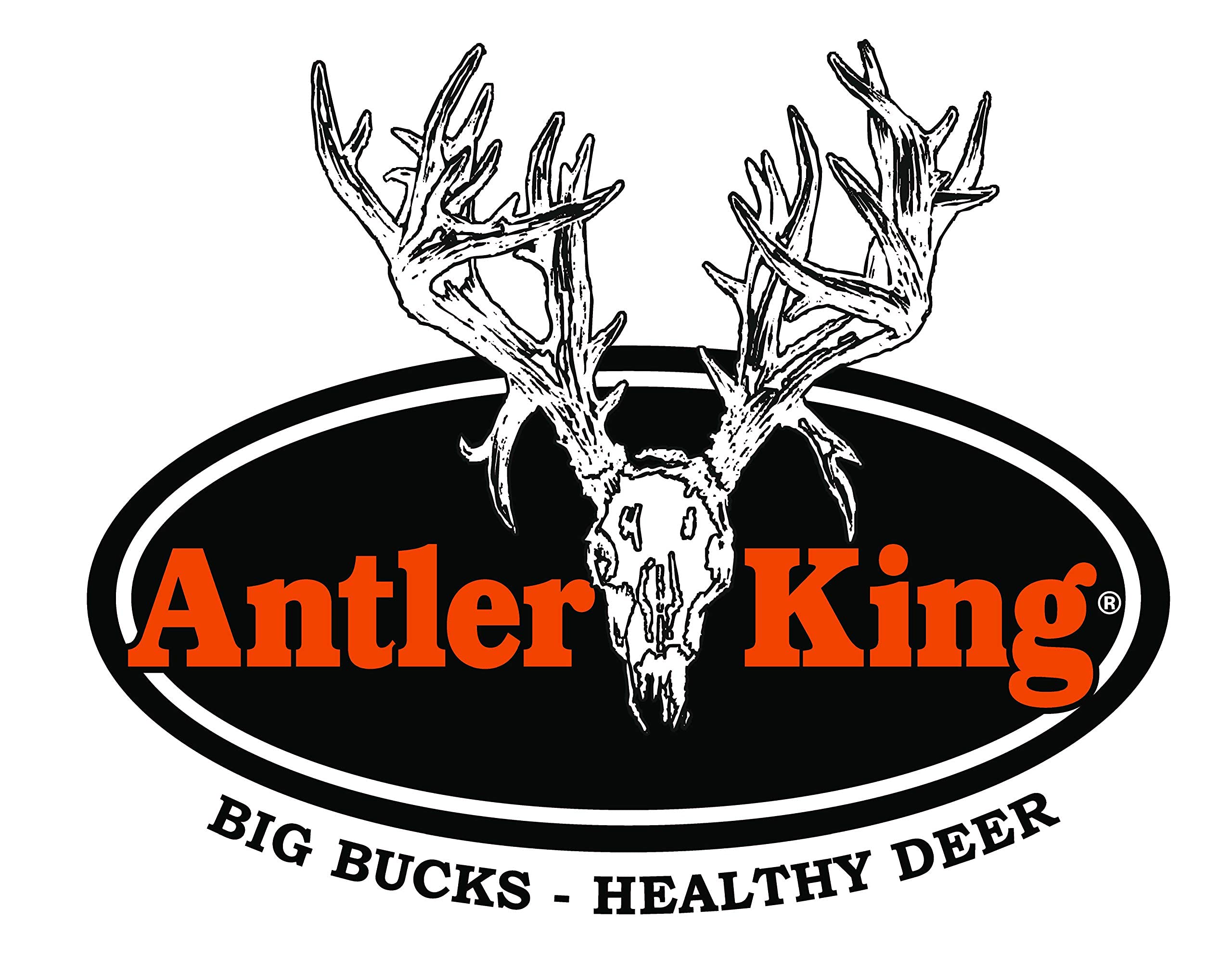 Antler King Booner Buffet Perennial Food Plot | 3 lb Bag Contains Two Varieties of Alfalfa Plus Clover & Chicory | Plants 1/4 Acre