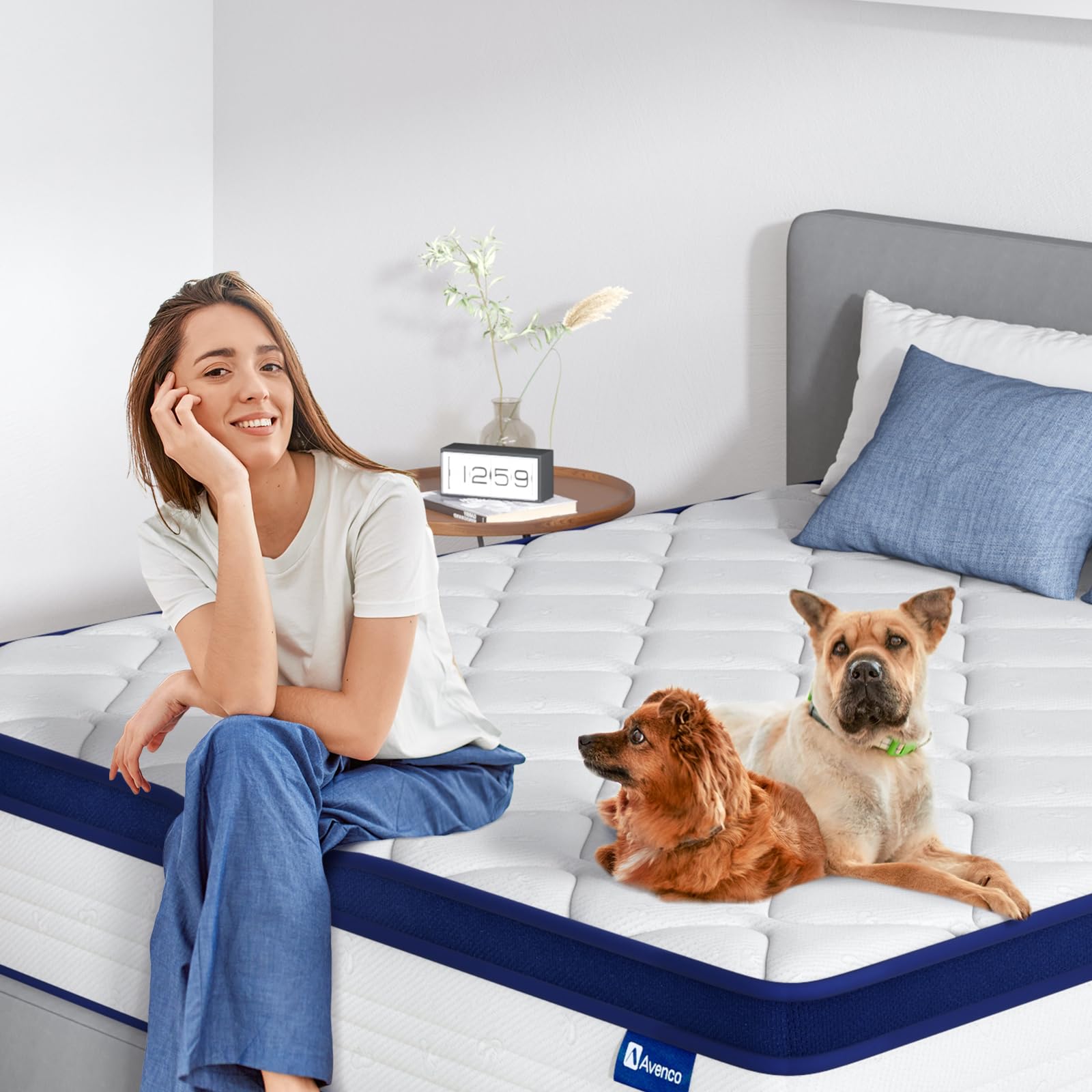 Avenco Queen 10 Inch Hybrid Mattress, Medium Plush, Pressure Relief, Motion Isolation, CertiPUR-US Certified