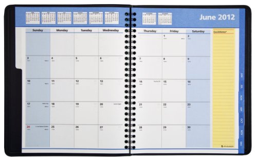 AT-A-GLANCE QuickNotes Recycled Monthly Planner, 6 x 9 Inches, Black, 2012 (76-08-05)