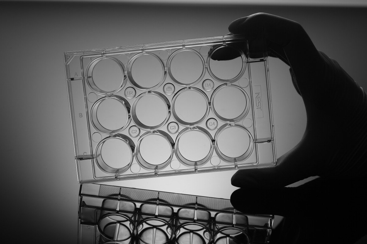 Nest Scientific 712001 Polystyrene 12 Well Cell Culture Plate, Flat Bottom, Tissue Culture Treated, Sterile, Clear, 1 per Pack, 50 per Case (Pack of 50)