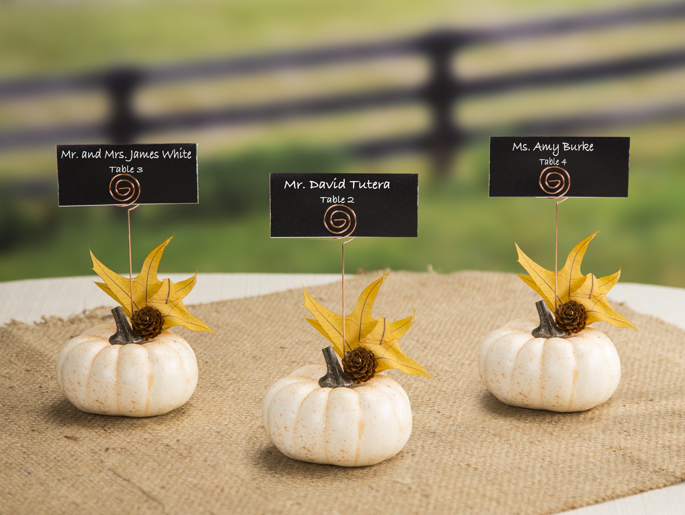 Darice, David Tutera, 6 Piece, Circle Copper Card Holder Pick