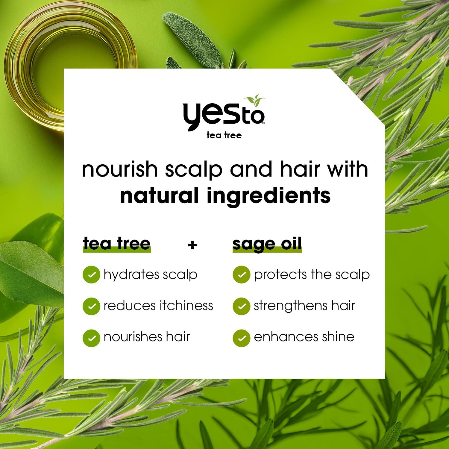 Yes To Tea Tree Shampoo with pH Balancing Formula, Nourishing Sage Oil, for Dry, Itchy Scalp Relief, Natural, Vegan & Cruelty Free, 12 Fl Oz