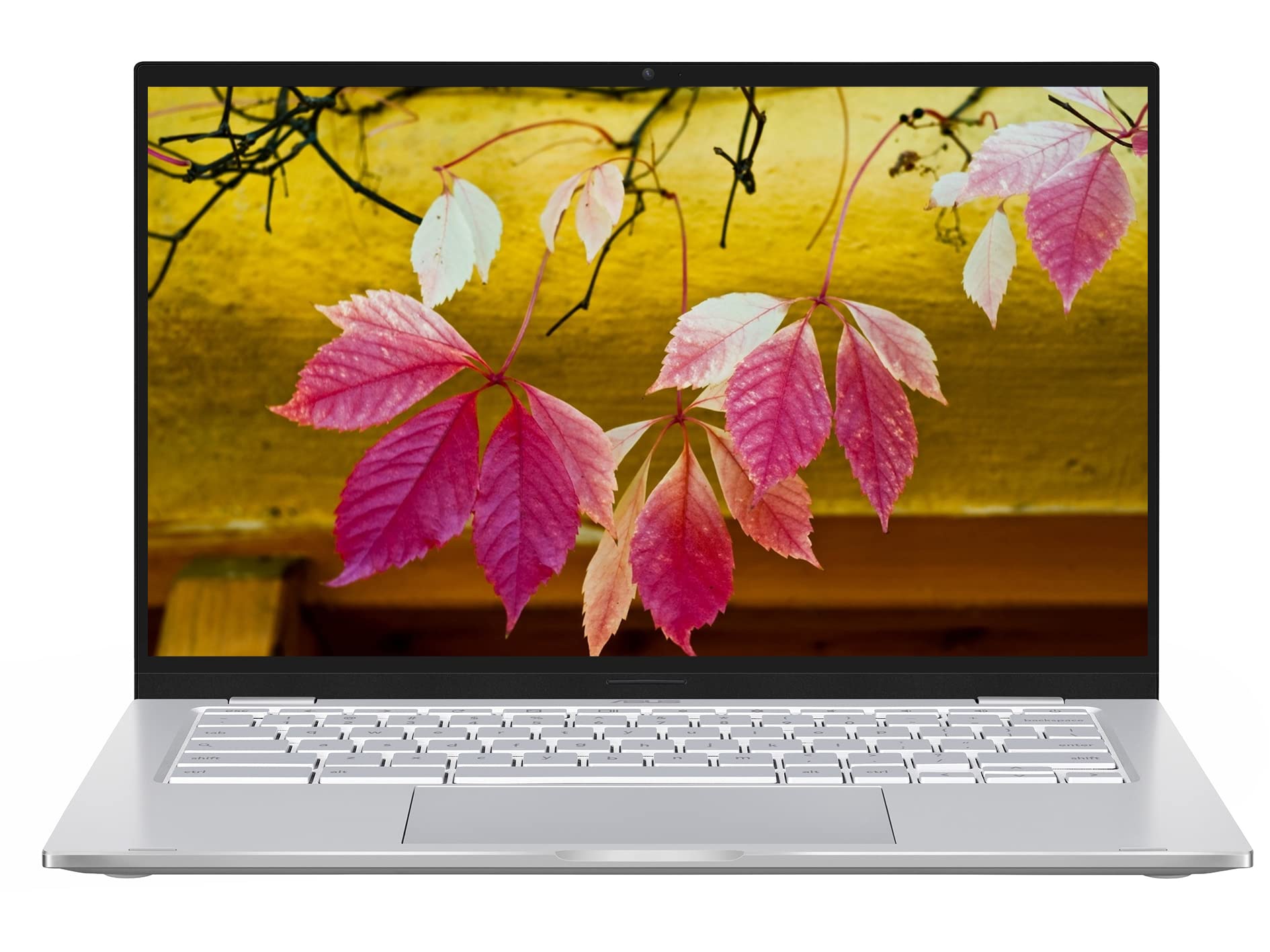 ASUS 14" FHD Chromebook Laptop, Intel Core M3-8100Y Processor, 8GB RAM, 64GB eMMC Flash Memory, Intel HD Graphics, HD Webcam, Chrome OS, Silver, 128GB Hotface USB Card (Renewed)